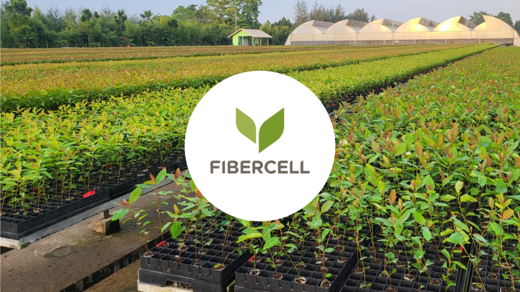 Buildahome - Webbyrån för ditt företag | Buildahome.se